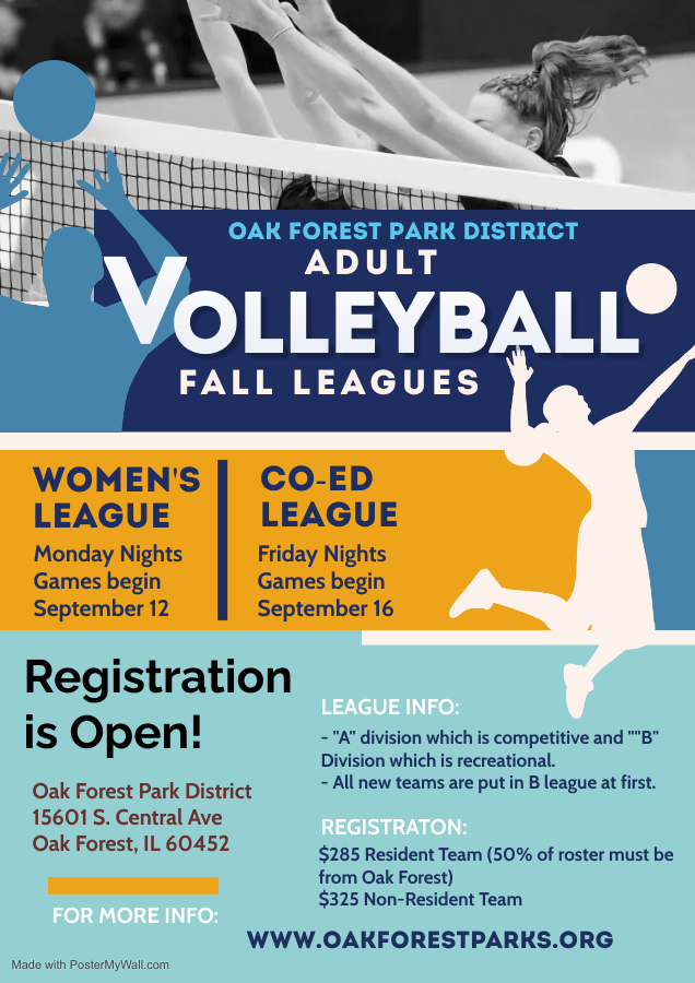 Volleyball Flyer